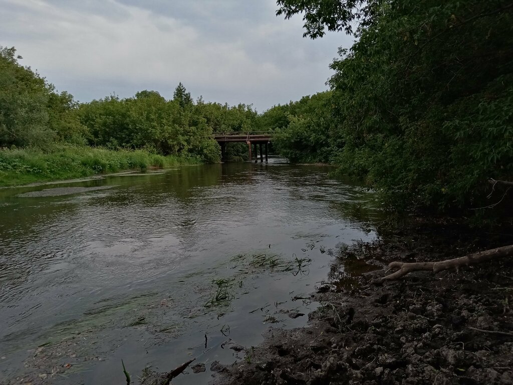 Plaj Пляж, Orenburgskaya oblastı, foto
