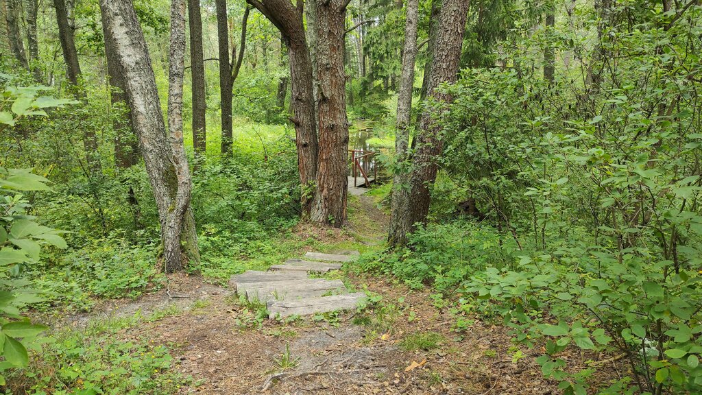 Piknik alanı Место для пикника, Orlovskaya oblastı, foto