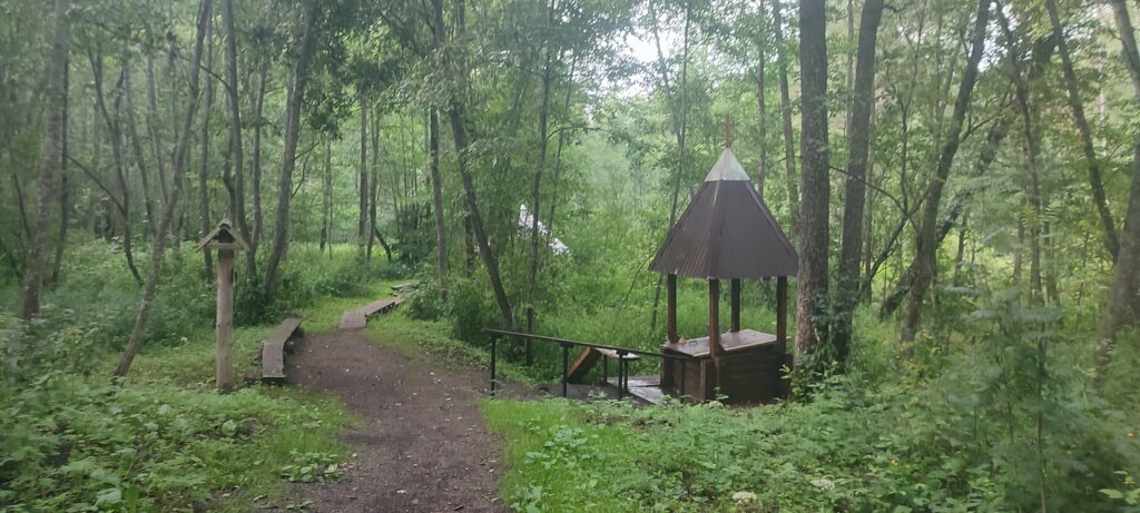 Turistik yerler Купель, Smolenskaya oblastı, foto