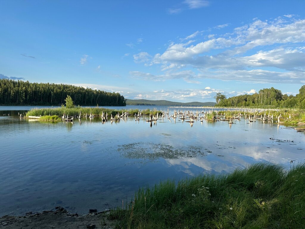 Piknik alanı Место для пикника, Çeliabinskaya oblastı, foto