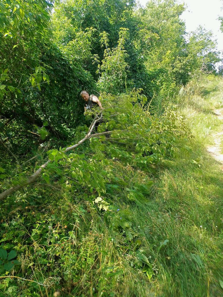 Plaj Пляж, Tambovskaya oblastı, foto