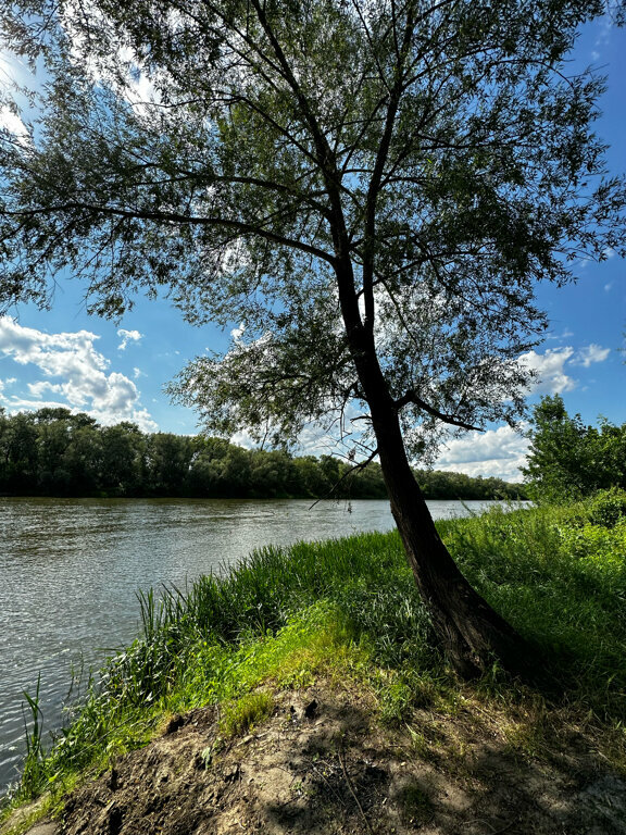 Plaj Пляж, Volgogradskaya oblastı, foto