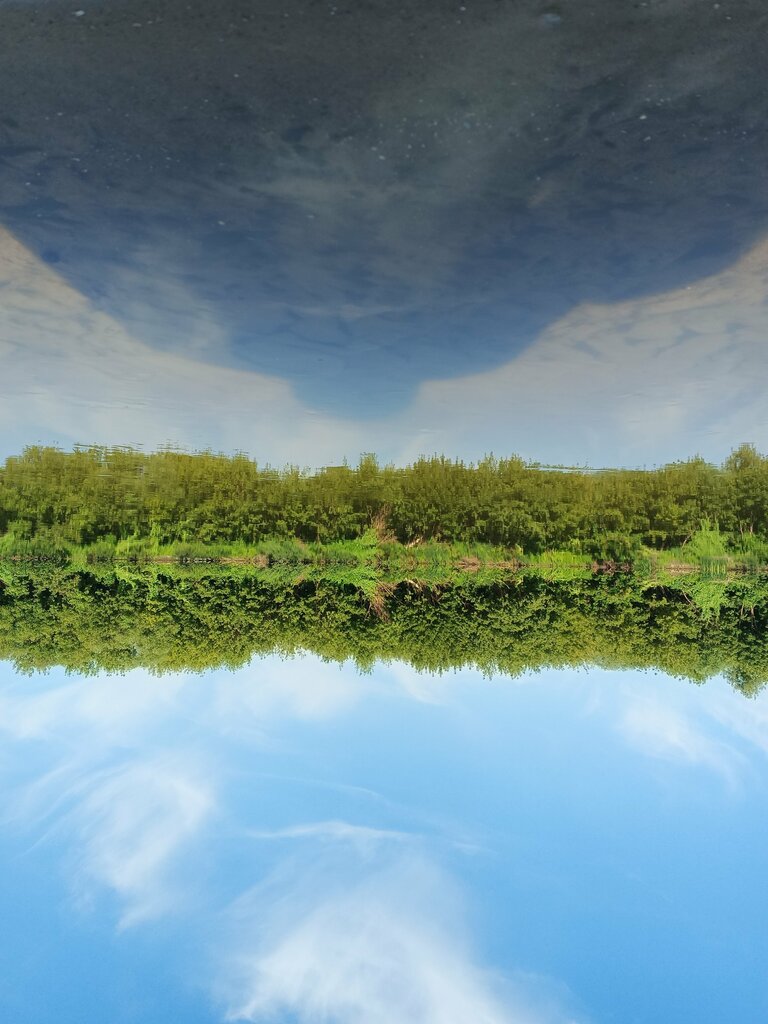 Plaj Пляж, Voronejskaya oblastı, foto