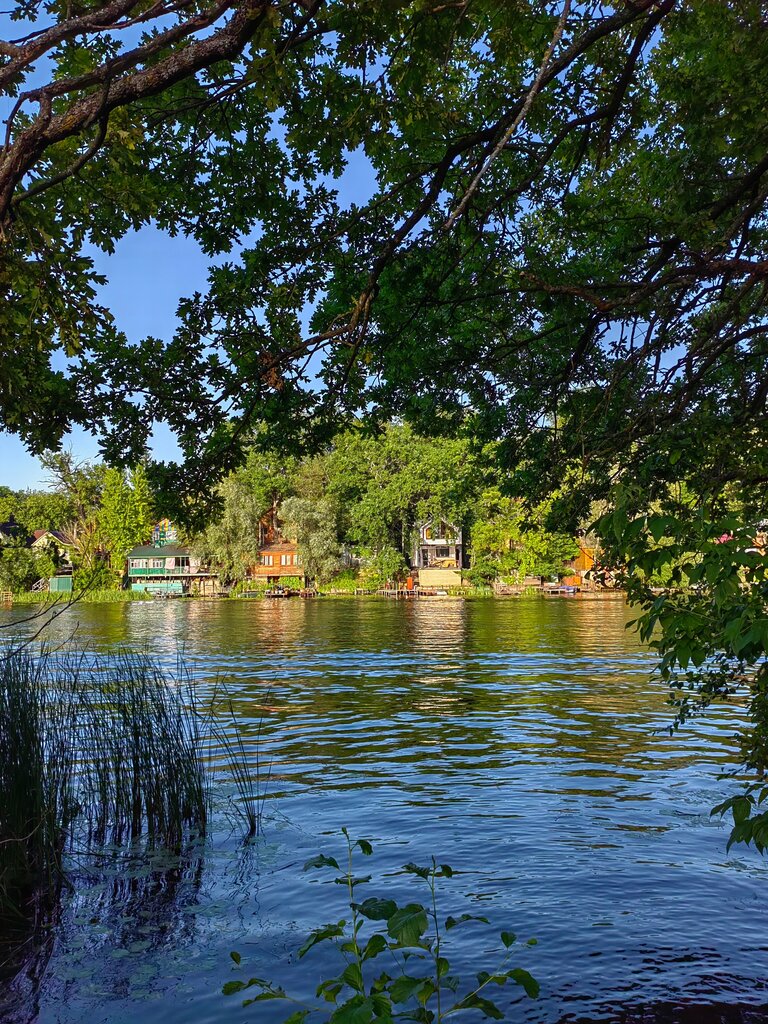Tatil köyleri Dubrava, Voronejskaya oblastı, foto