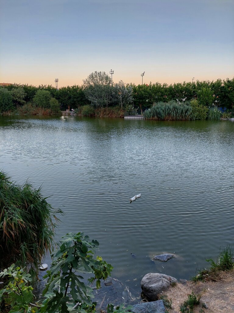 Kültür ve eğlence parkları Bakırköy Botanik Parkı, İstanbul, foto