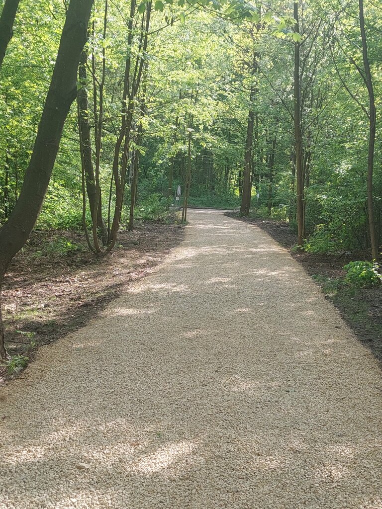 Kültür ve eğlence parkları Silesia Park, Chorzow, foto