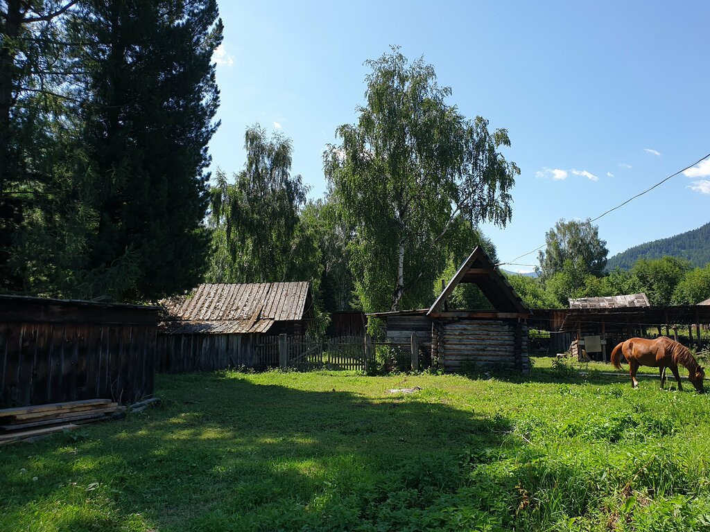 Ortodoks kiliseleri Молитвенный дом целителя, Altay Cumhuriyeti, foto