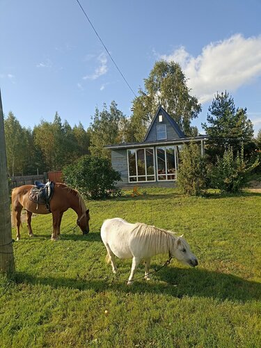 Konuk evi Akulovopark, Yaroslavskaya oblastı, foto