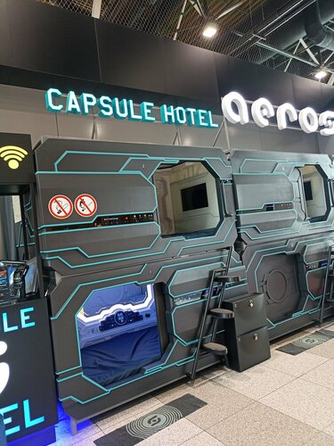 Otel Superior Comfort Lounge of Terminal C, Moskova ve Moskovskaya oblastı, foto