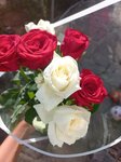 Цветы (Maykopskaya ulitsa No:38, selo Krivenkovskoye), çiçekçiler  Krasnodarski krayından