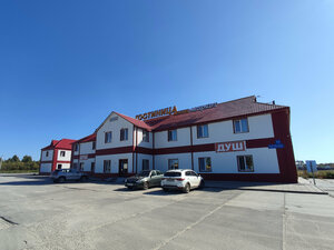 Орёл +3 (Tyumen Region, gorodskoy okrug Tobolsk), otel  Tümen (Tiumenskaya) oblastından