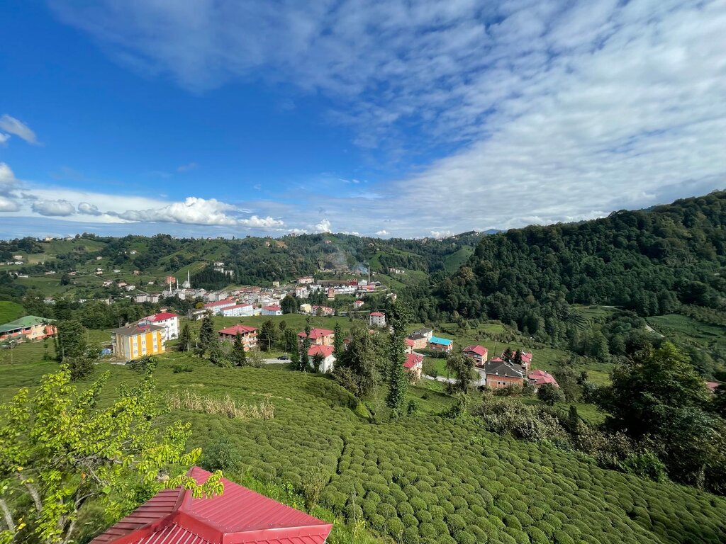 Pansiyonlar, hosteller Hayrat Apart, Hayrat, foto