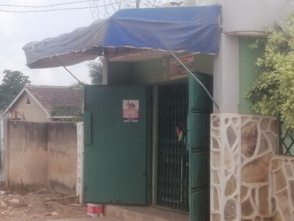 Soğuk hava tesisi Danjjuma Rabbits, Dünya, foto