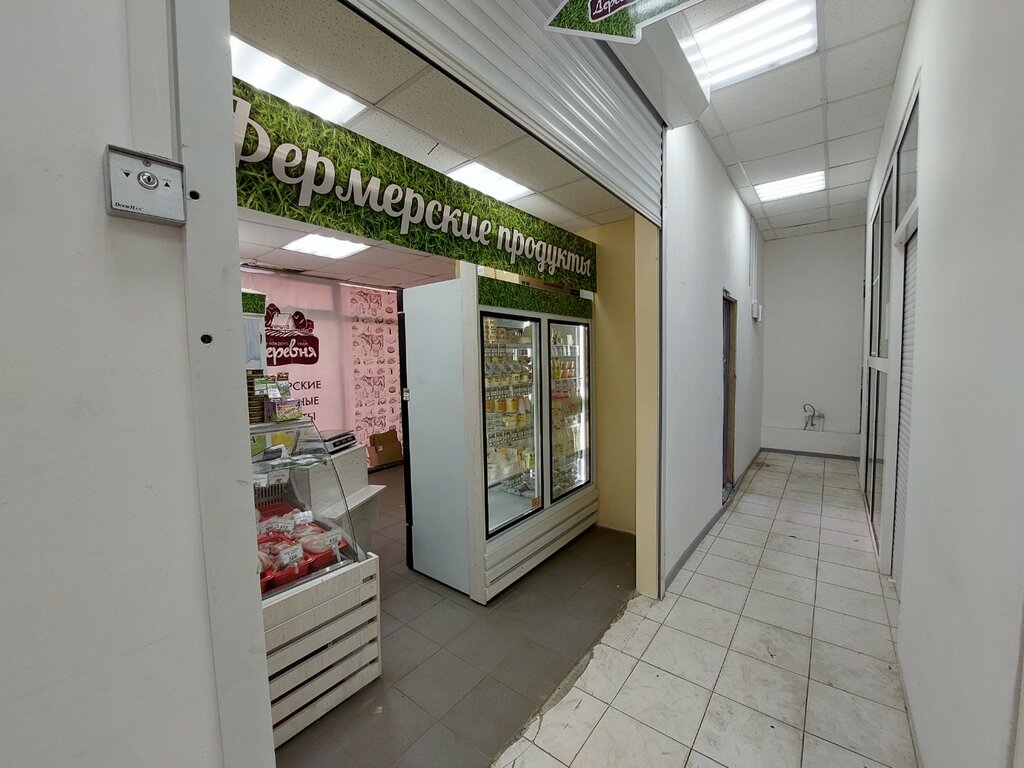 Süt ürünleri satış mağazaları У каждого своя деревня, Tula, foto