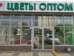 Новая Голландия (ulitsa Generala Trosheva No:1/12), çiçekçiler  Krasnodar'dan