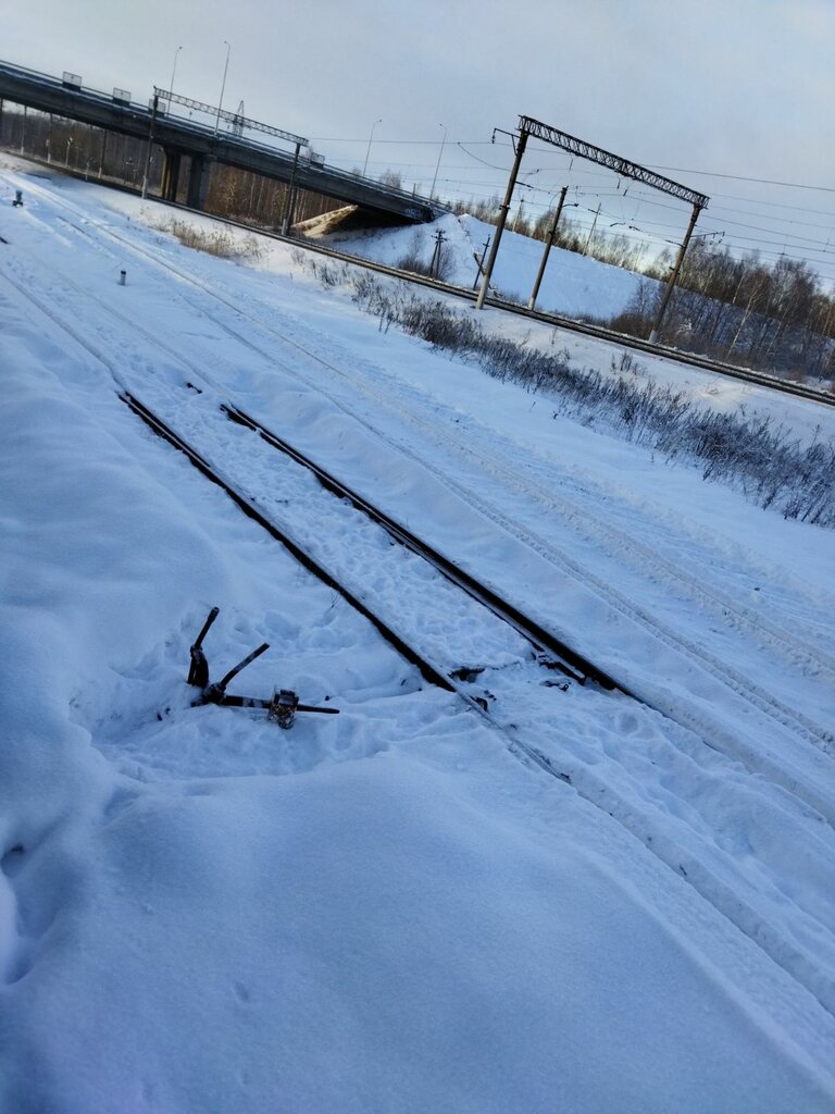 Tren istasyonu Филино, Yaroslavl, foto