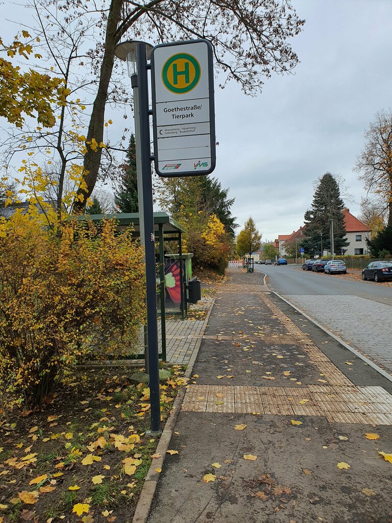 Toplu taşıma durağı Goethestraße / Tierpark, Freiberg, foto
