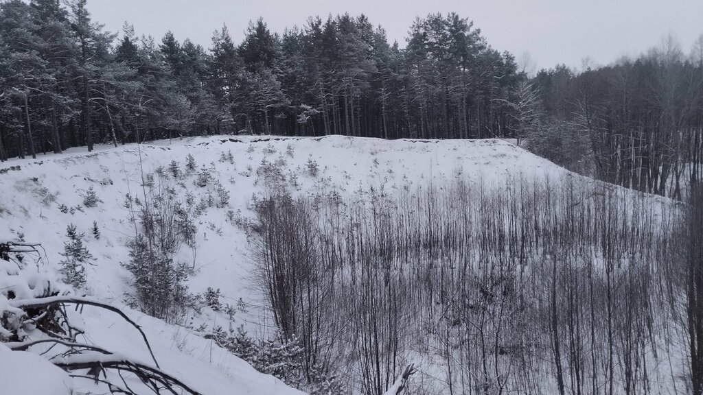 Orman Гапонов лес, Kurskaya oblastı, foto