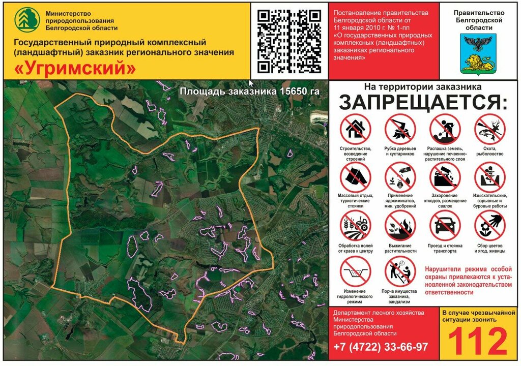 Orman урочище Серый Ров, Belgorodskaya oblastı, foto