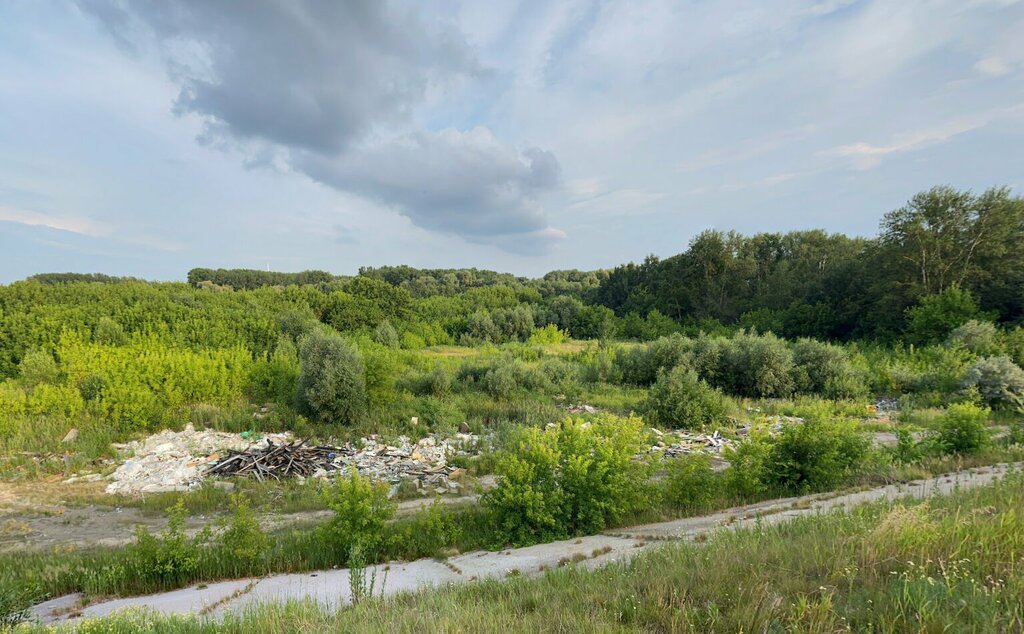 Kültür ve eğlence parkları Zapovedniy Meadow, Riazan, foto