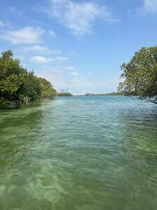 Eastern Mangrove National Park (Al Kheeran, Eastern Mangroves, Abu Dhabi), kültür ve eğlence parkları  Abu Dabi'den