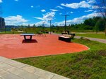 Стол для настольного тенниса (Leningrad Region, Vsevolozhckiy DIstrict, Zanevskoye gorodskoye poseleniye, Kudrovo, park Kosaya gora), spor alanı
