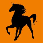 Horse Market (Dachnaya ulitsa No:6лит31), binicilik ürünleri  Kaliningrad'dan
