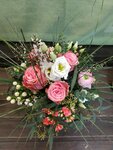 Kitzinger Blumen und Pflanzen (Hesse, Offenbach am Main, Mühlheimer Straße), sera ve bahçe ürünleri  Hesse'den