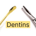 Microsurgical, surgical, ortodontic instruments Dentins.ru (Smolnaya Street No:24А), diş sağlığı ekipmanları  Moskova'dan