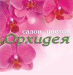Orchideya (Divnaya ulitsa No:2, rabochiy posyolok Markova), çiçekçiler  İrkutskaya oblastından