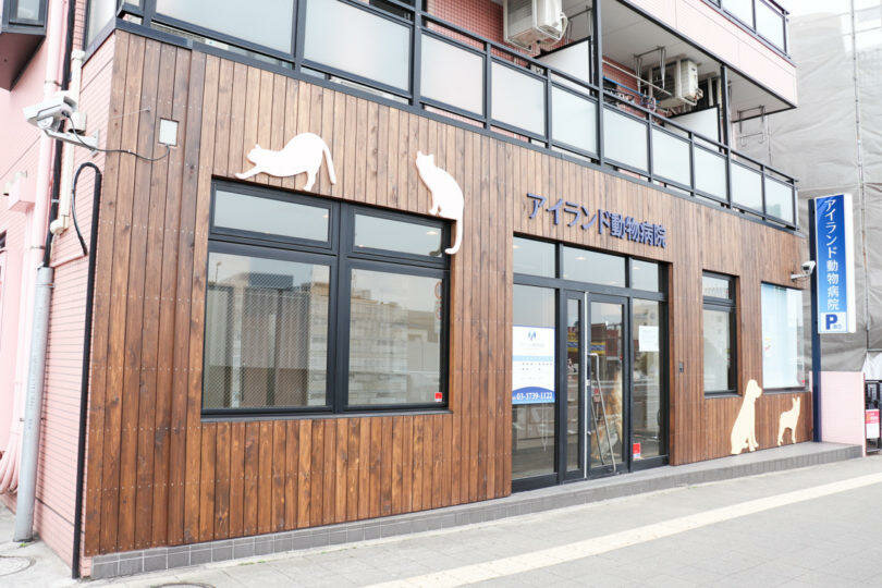 Veteriner klinikleri アイランド動物病院, Tokyo, foto