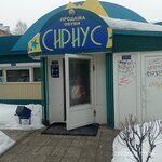 Ремонт обуви (Archangel Region, Kotlas, Tsentralny rayon), ayakkabı tamiri  Kotlas'tan