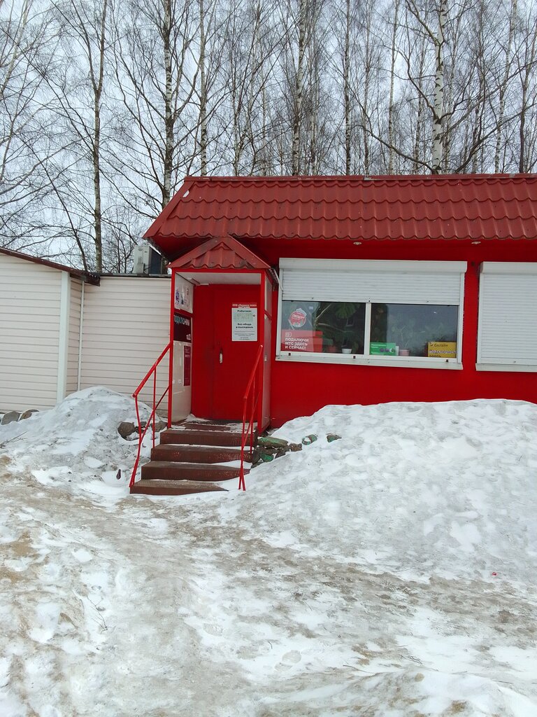 Mini-market Смешанные товары, Vologodskaya oblastı, foto
