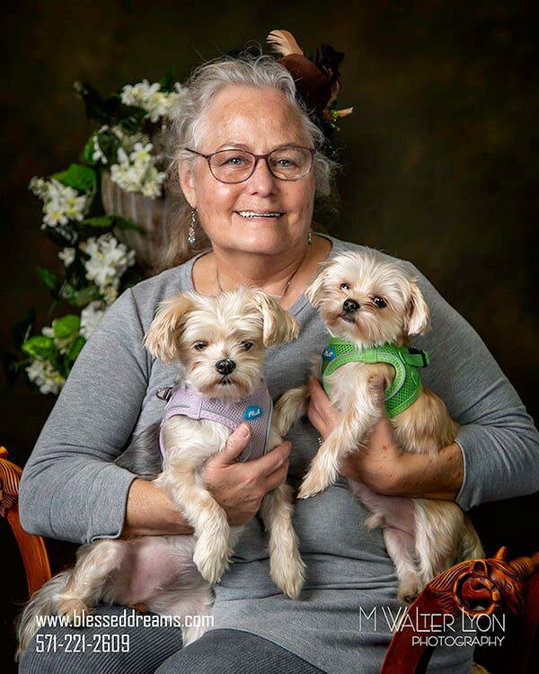 Çocuk oyunları ve oyuncakları Reigning Cats & Dogs, Culpeper, foto