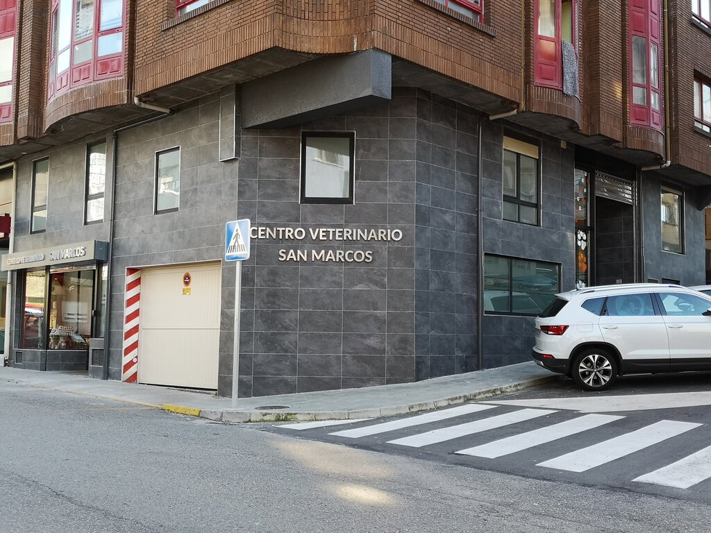Veteriner klinikleri Centro Veterinario San Marcos, Galisya, foto