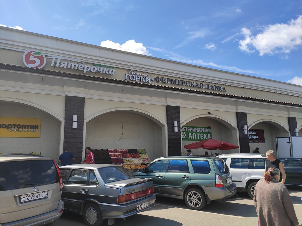 Market Blizhnie Gorki, Moskova ve Moskovskaya oblastı, foto
