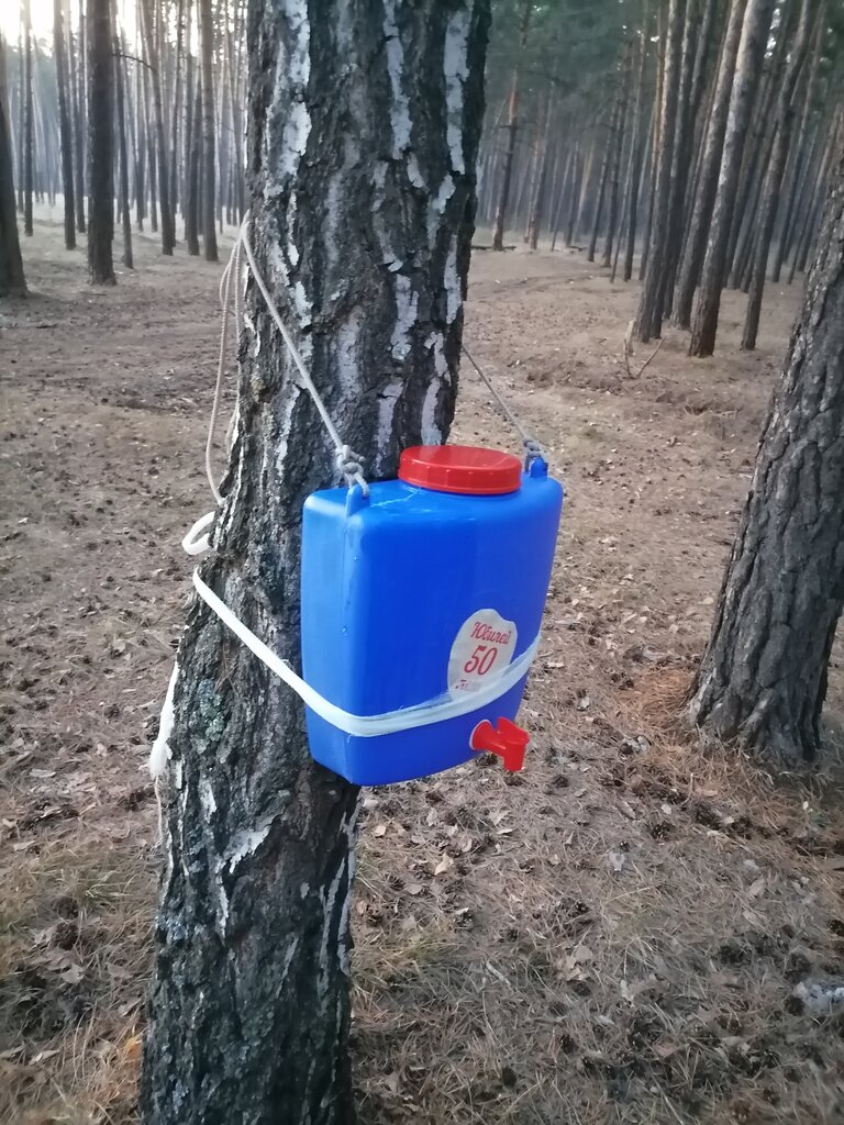 Plastik ürün üreticileri Zavod plastmassovykh izdely Alternativa, Oktiabrski, foto