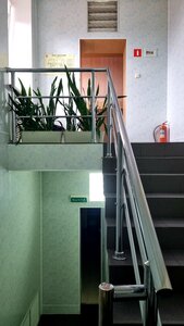 Pestovo (ulitsa Titova No:86), otel  Pestovo'dan