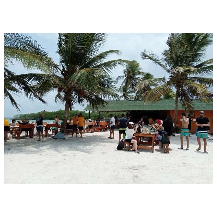 Toplu taşıma yönetimi ve bakımı Jf Tours Panamá 507, Panama, foto