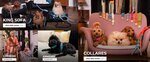 Área Canina Premium Pets (Autonomous Community of Andalusia, Málaga, Carretera Guadalmar, 24), petshop  Endülüs'ten