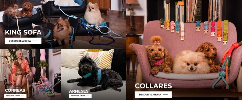 Petshop Área Canina Premium Pets, Endülüs, foto