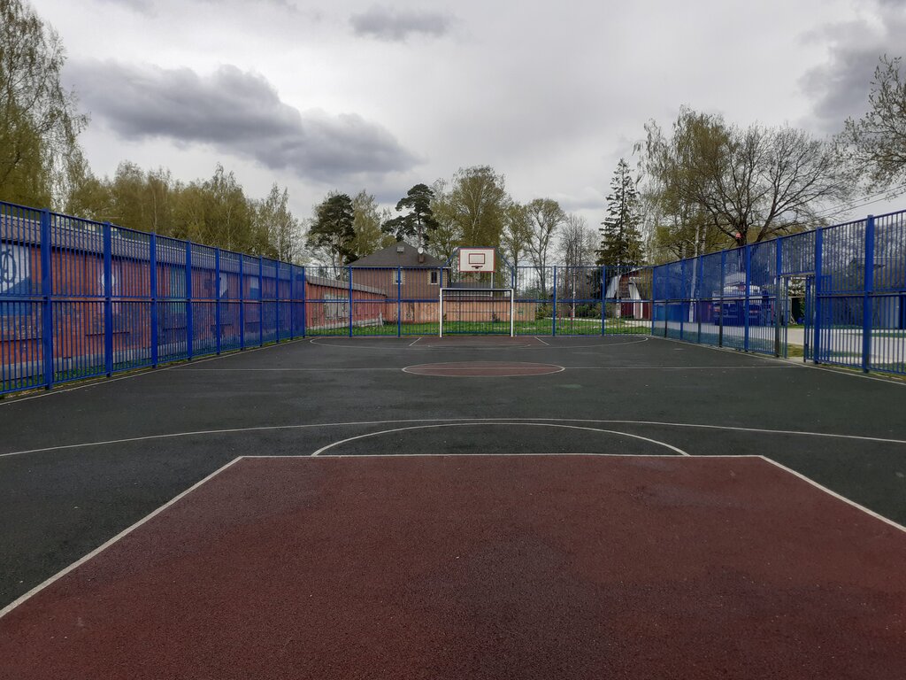 Spor alanı Футбольное поле, Moskova ve Moskovskaya oblastı, foto