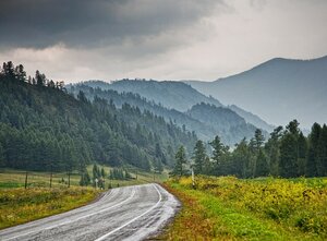 Kedr Zolotoy (Republic of Altai, Ongudayskiy rayon, R-256 Chuyskiy trakt, 582-y kilometr), otel  Altay Cumhuriyeti'nden