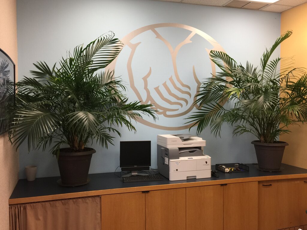 Sigorta şirketleri Glen Mancuso: Allstate Insurance, New York, foto