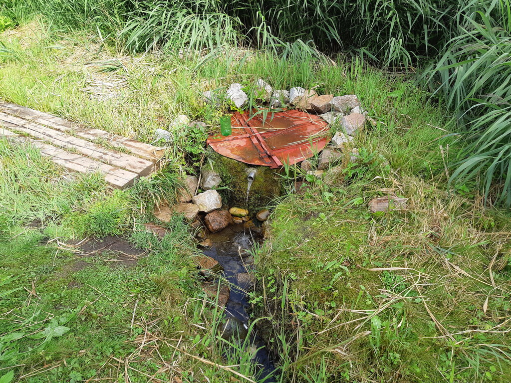 Pınar, çay Spring, stream, Vitebskaya oblastı, foto