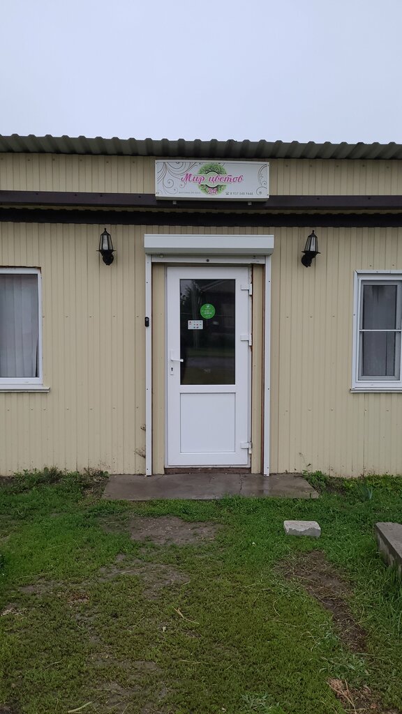 Çiçek teslimatı Мир цветов24, Volgogradskaya oblastı, foto