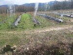 Desbroces Agroforestal Mt (Galicia, Ourense, Calle Centro Saude), i̇nşaat firmaları  Galisya'dan