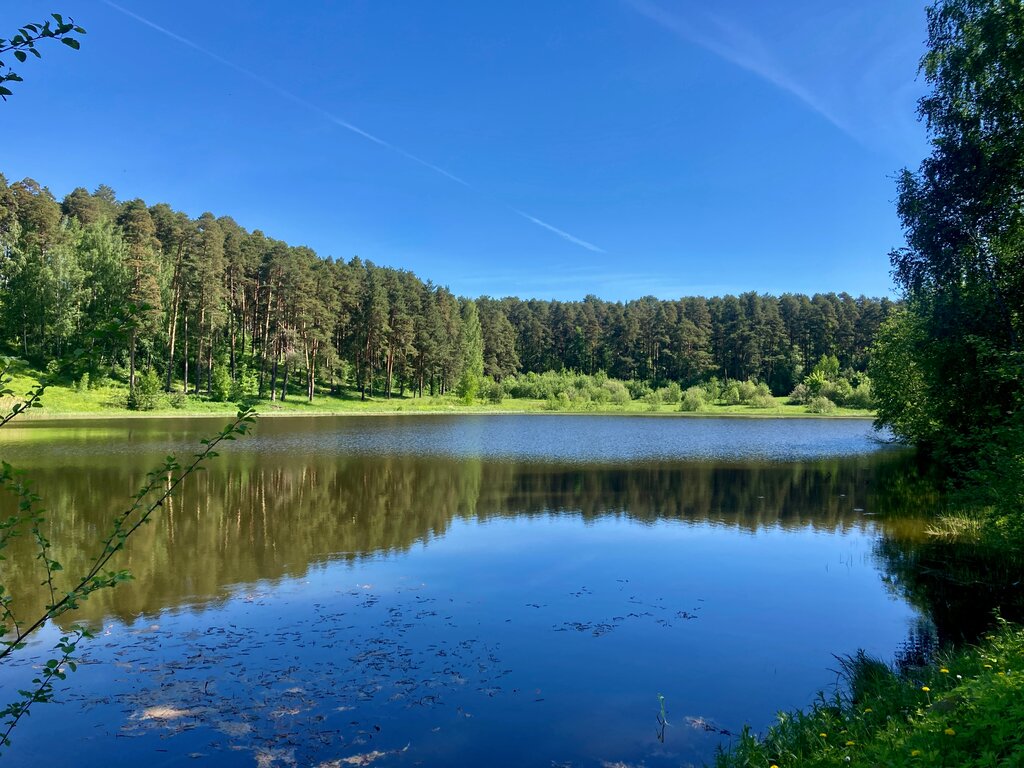 Kültür ve eğlence parkları парк Лобанка, Kostromskaya oblastı, foto