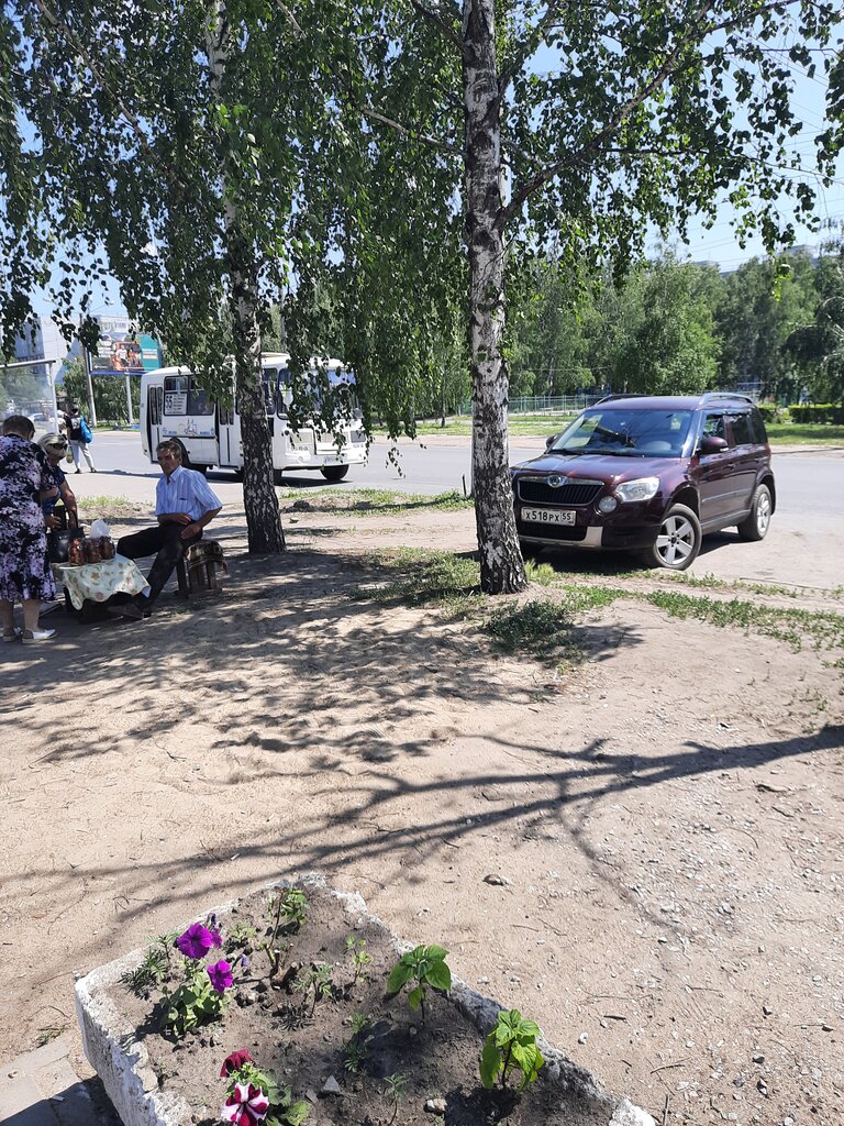 Otobüs taşımacılığı Avtobus55, Omsk, foto
