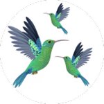 Soul Garden (Ordzhonikidze Street No:56), kemik hastalıkları doktoru  Yakutsk'tan